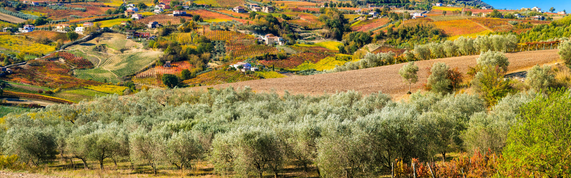 Weekend a Melizzano (Benevento) nei migliori parchi e riserve naturali ...