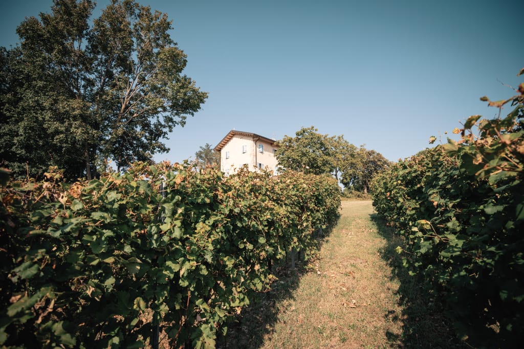 Weekend con degustazione vini a Vittorio Veneto | Boscolo Gift